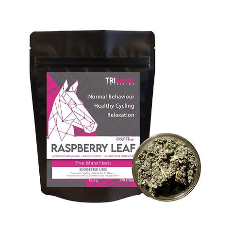 Trisana Raspberry leaf – Amici Equestrian